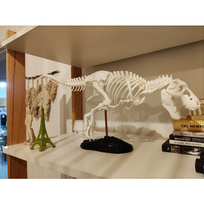 Esqueleto T-Rex | Shopee Brasil