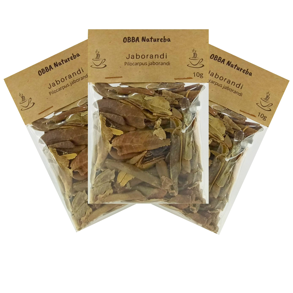 Kit 3Chá Jaborandi Folhas | Legítimo Pilocarpus Microphyllus | Shopee ...