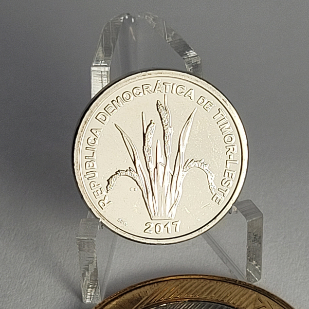 Moeda das Timor Leste - 5 centavos do ano de 2017 - Flor de Cunho ...