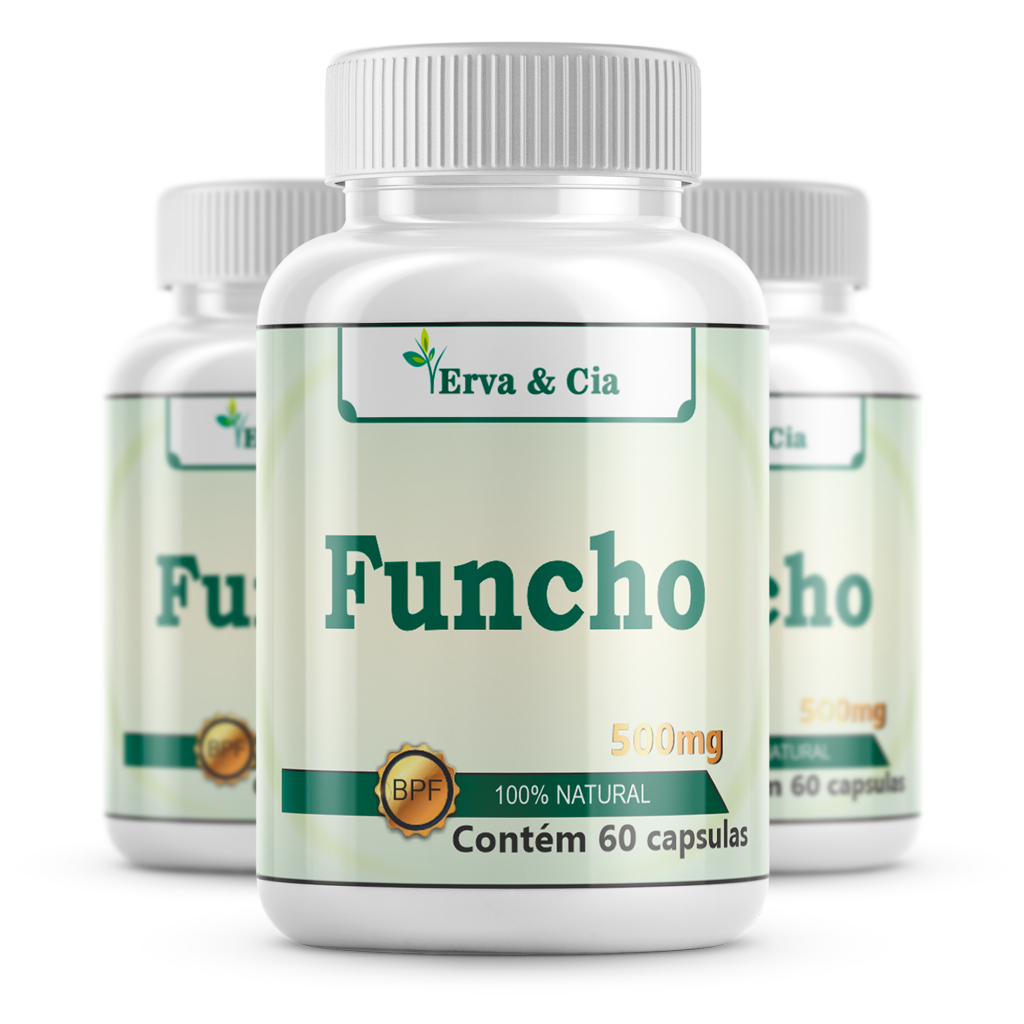 Kit 3 Potes Funcho 180 Cápsulas 500mg 100% Puro E Natural | Shopee Brasil