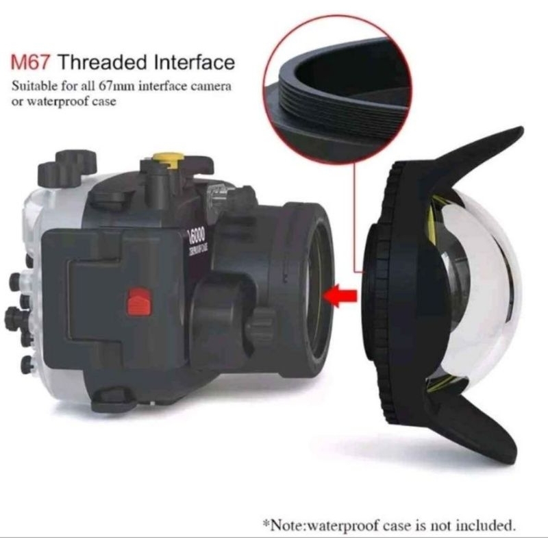 Óptico Fisheye Lens Sombra Filtro Anti-reflexo para Todos DSLR ILDC ...