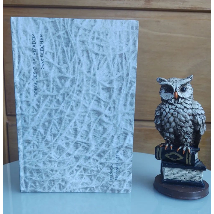 Corações Cicatrizados - Max Blecher (Carambaia) | Shopee Brasil