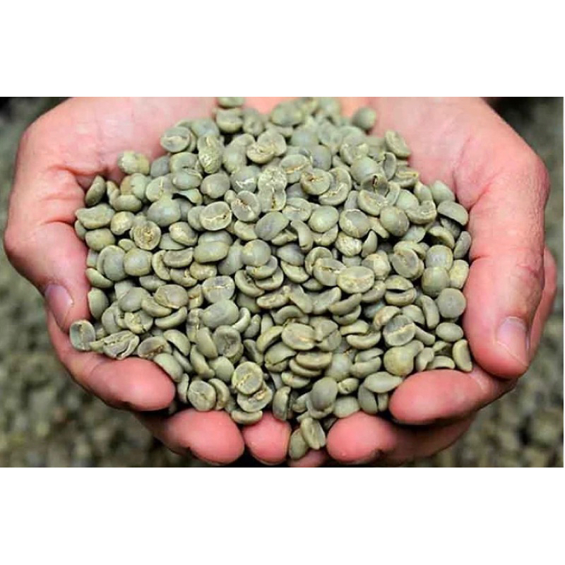 CAFÉ CRU 20kg | Shopee Brasil