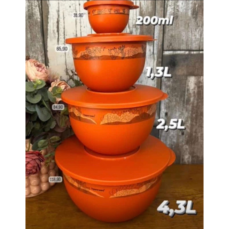 kit Murano Tupperware/ 5/4/3 e 2 peças | Shopee Brasil