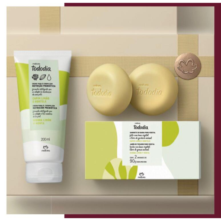 Kit Natura Todo Dia Shopee Brasil