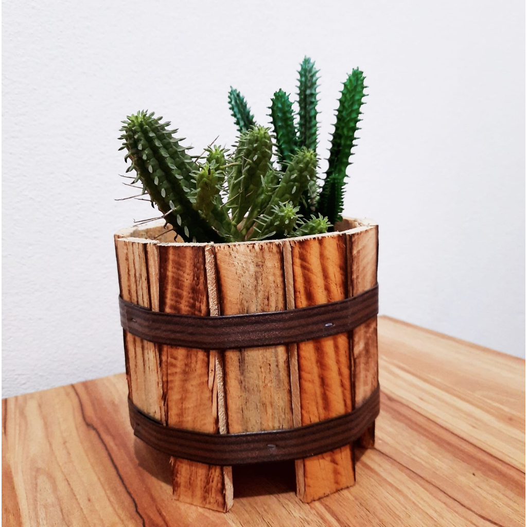 Cachepo/cachepot de madeira para plantas com pé | Shopee Brasil
