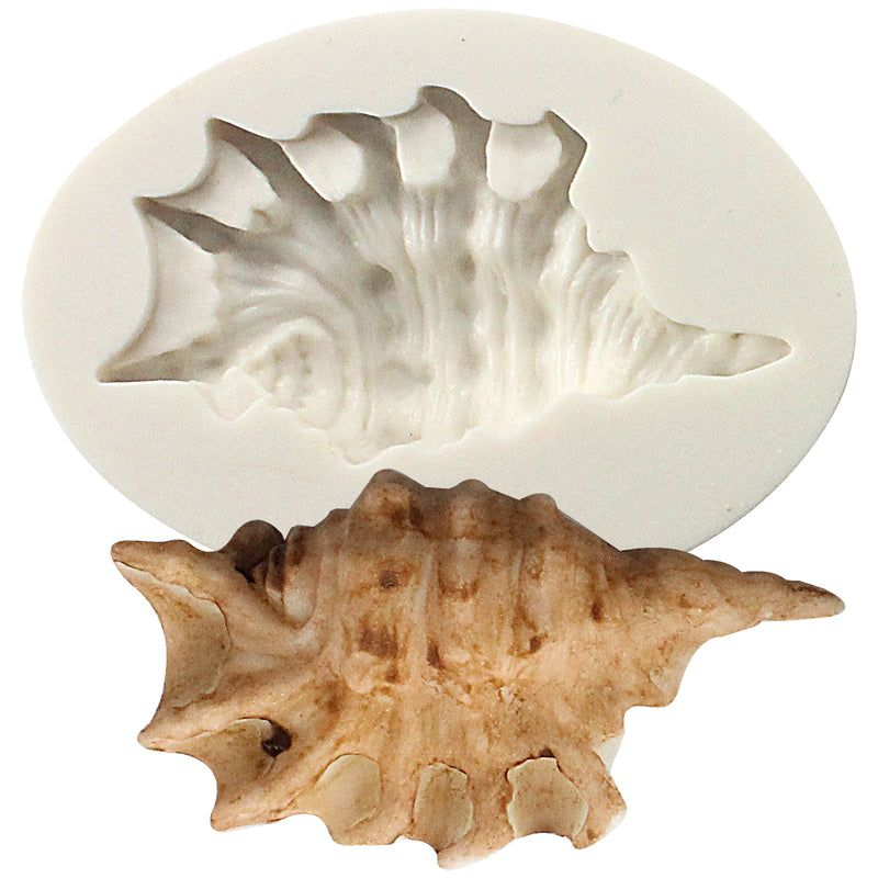 Molde de Concha 9cm Praia Mar Oceano Em Silicone Pasta Americana ...