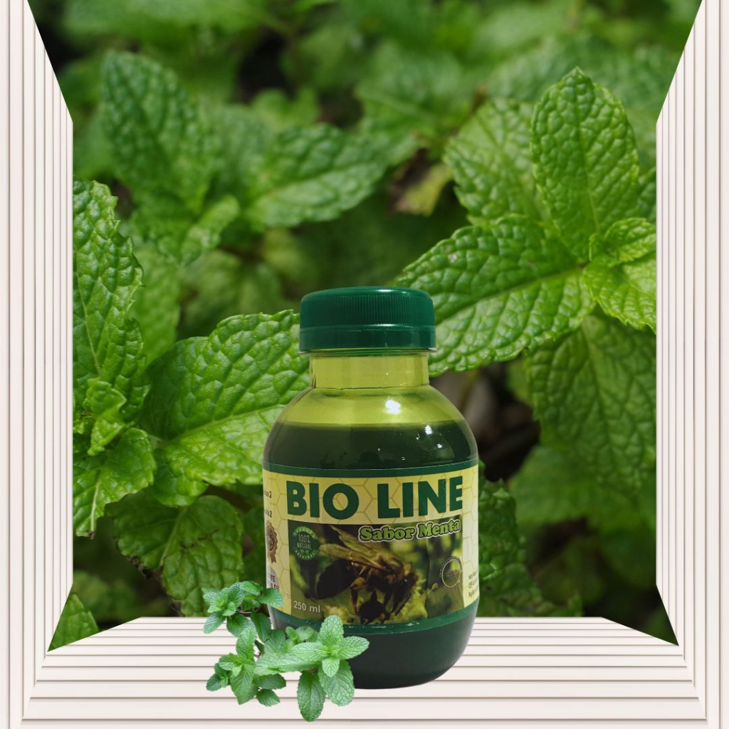BIO LINE DO VERDE 250 ML HERB NATURAL | Shopee Brasil