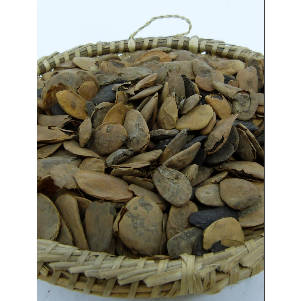 Fava de Aberê - Favas - Candomblé - Umbanda 03 Unds | Shopee Brasil