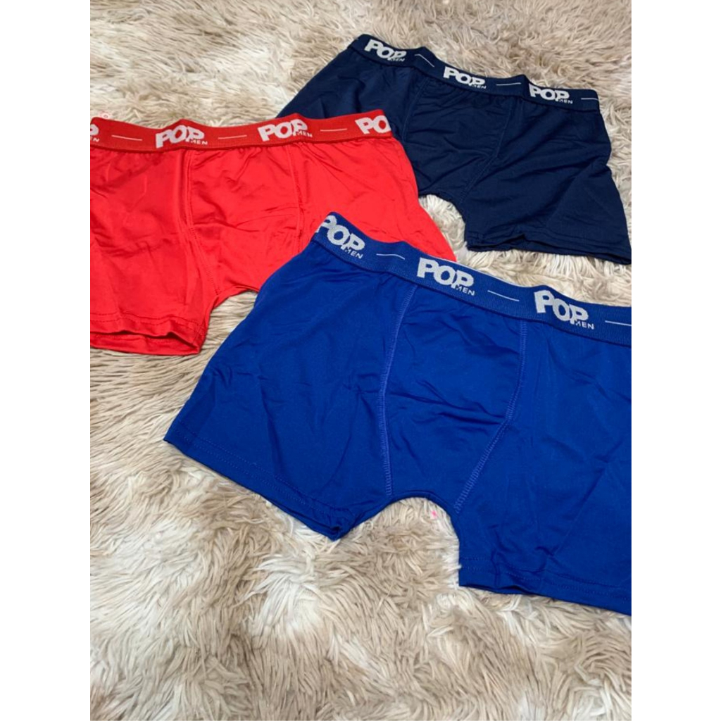 Cueca Boxer Lisa | Shopee Brasil