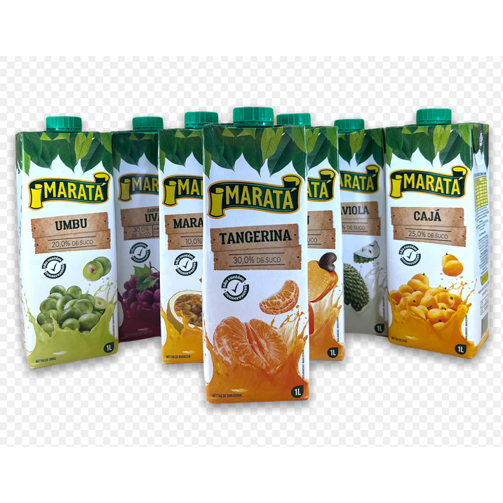 Kit Com 4 Sucos Marata De 1 Litro | Shopee Brasil