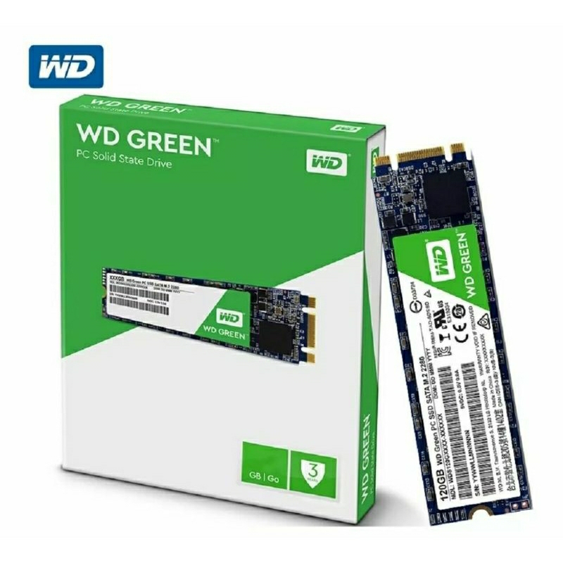 WD Green M2 SSD 240GB SATA III Leitura 545MB A 560MB/s , Escreva 465MB-WD240 E 250G | Shopee Brasil