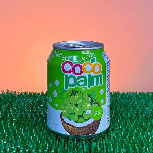 Suco de Uva com Coco (Coco Palm) 238ml - Haitai | Shopee Brasil
