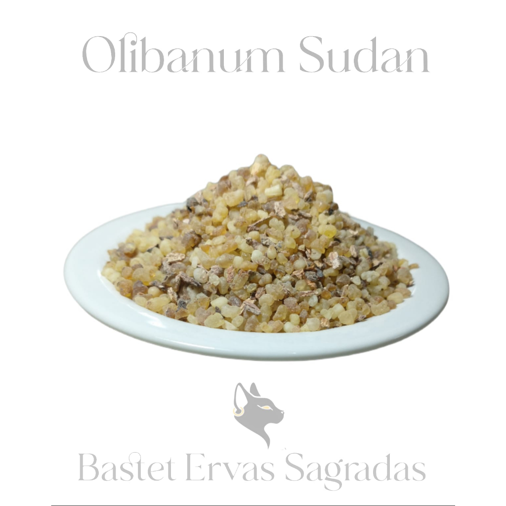 Olíbano Resina | Shopee Brasil