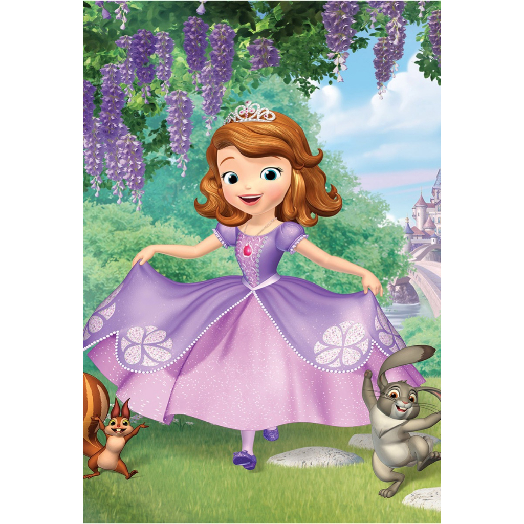 Painel Lateral Tecido Sublimado 2,20x1,50 Princesa Sofia | Shopee Brasil