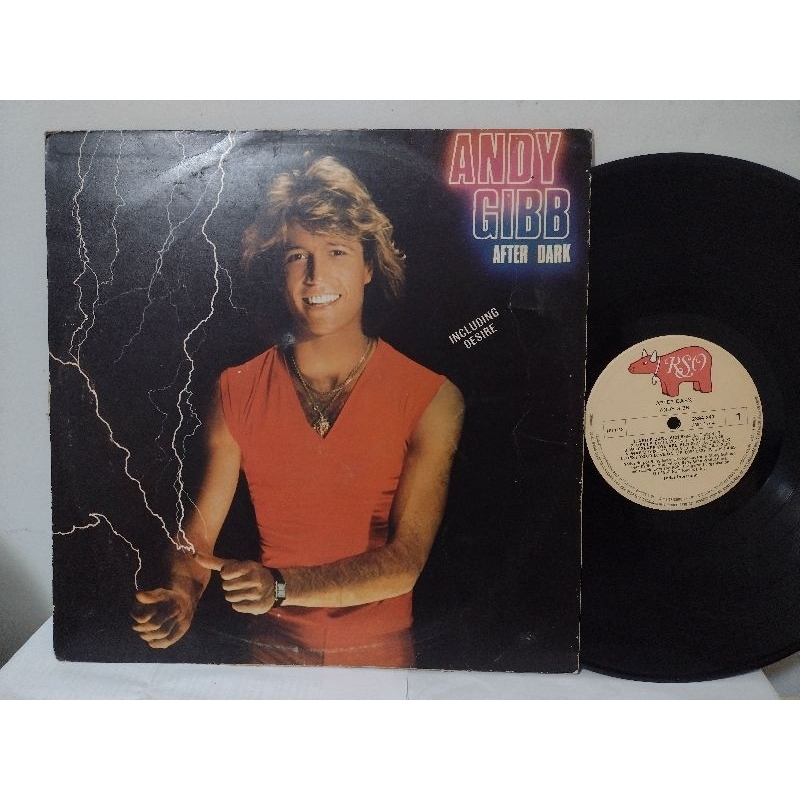 LP Andy Gibb - After dark * | Shopee Brasil