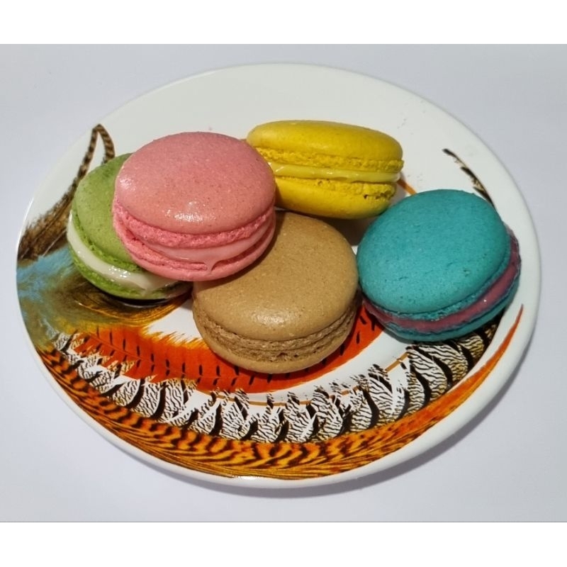 Macarons Caixa com 5 sabores | Shopee Brasil