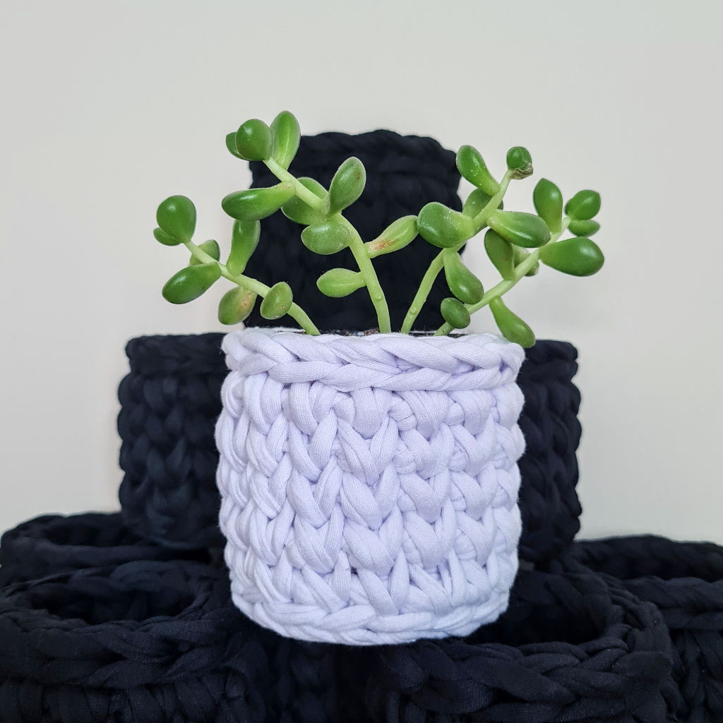 Mini Cachepo Suculenta com 4 unidades Planta Vaso Croche Mimo ...