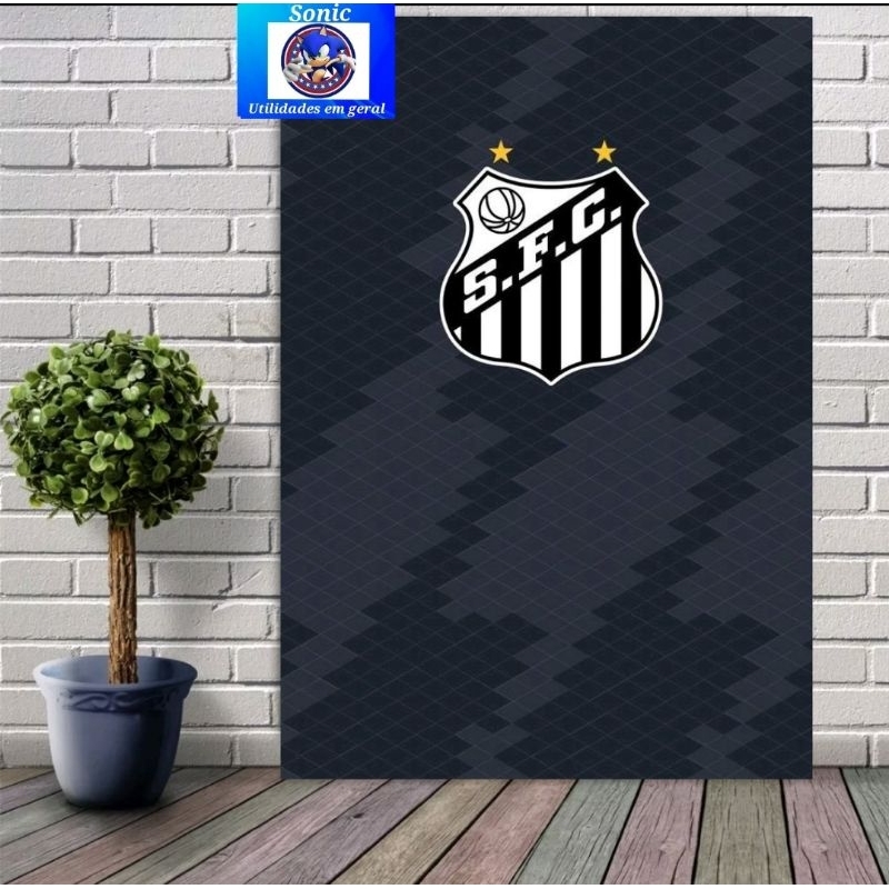 Quadros decorativos do Santos, Quadrinho decorativos do Santos futebol ...