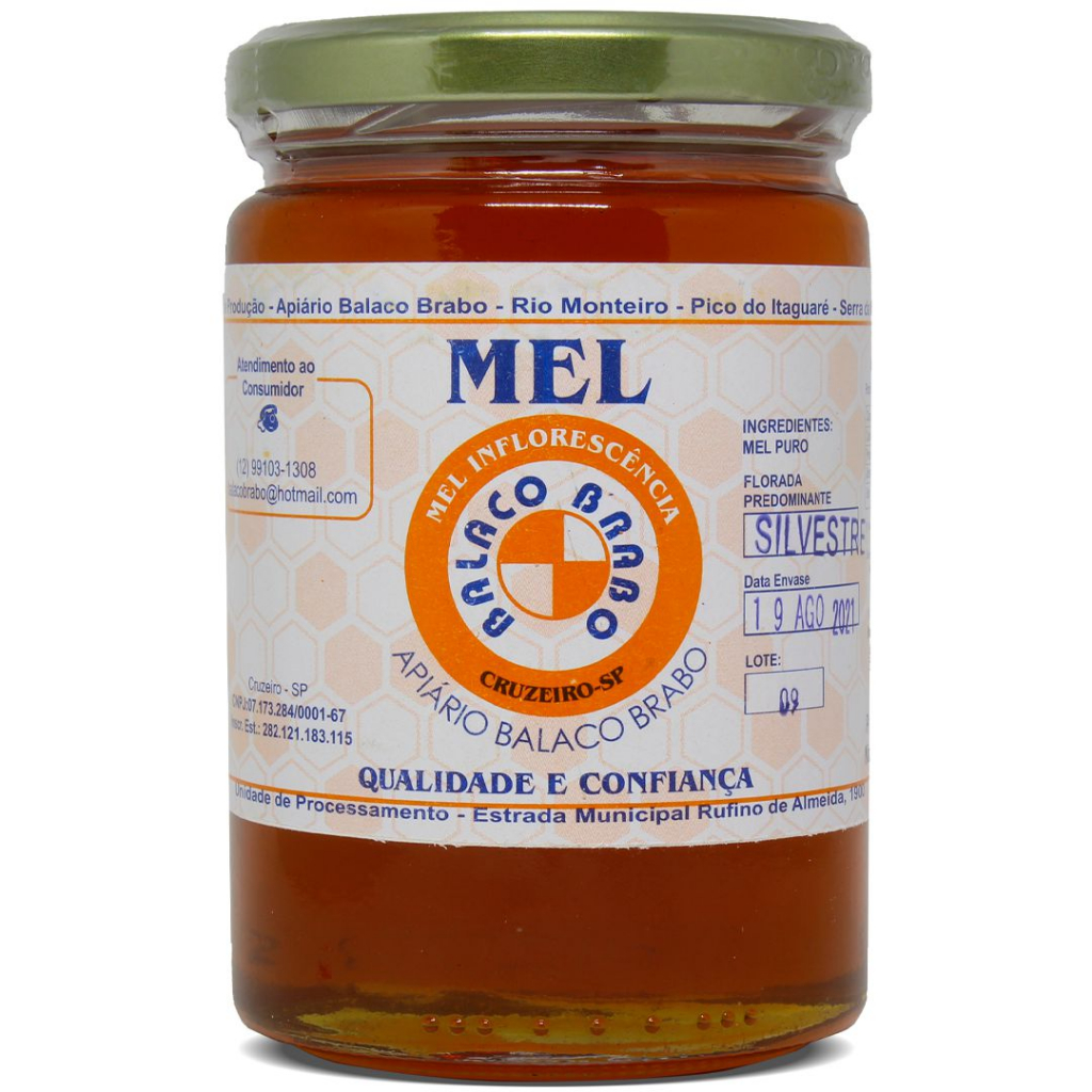 Mel Puro De Abelha Natural Saudável Pote 450g | Shopee Brasil