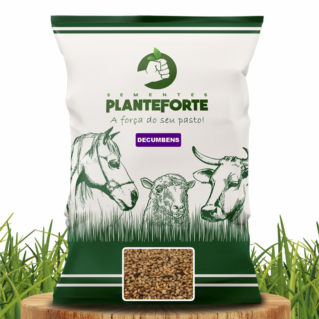 Brachiaria Decumbens cv. Basilisk Convencional -2KG | Shopee Brasil