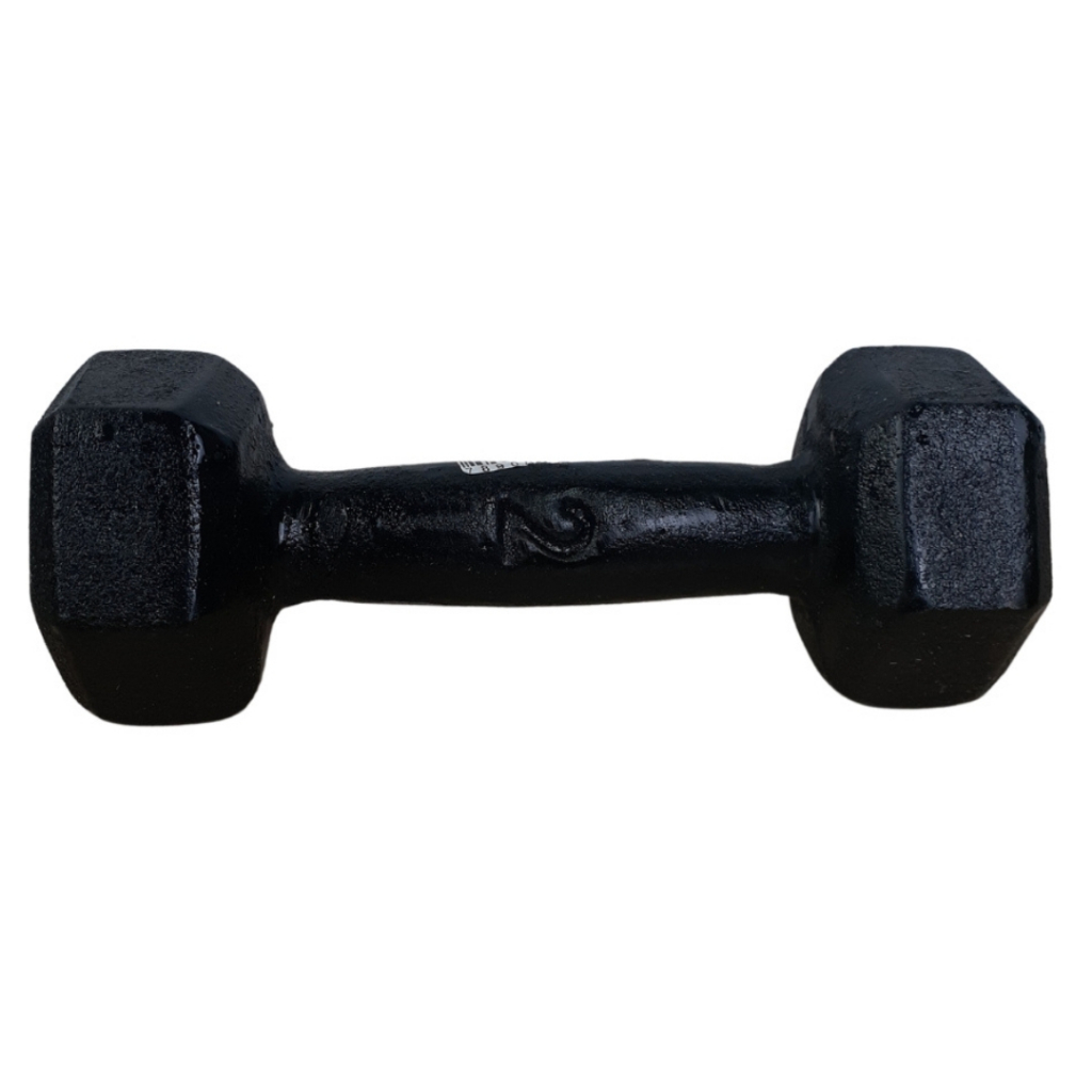 Halter Sextavado Pintado 2kgs Musculação Academia Em Casa 1Fit | Shopee ...