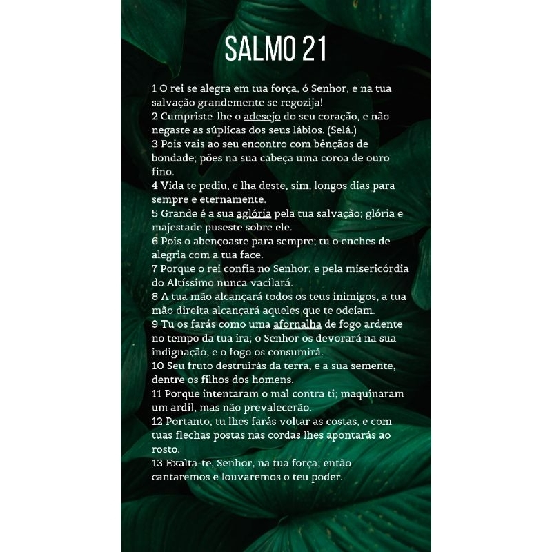 QUADRO SALMO 21 | Shopee Brasil