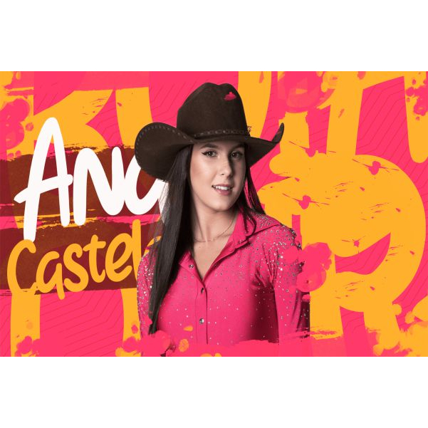 Painel Banner de Festa em Lona Ana Castela Boiadeira | Shopee Brasil