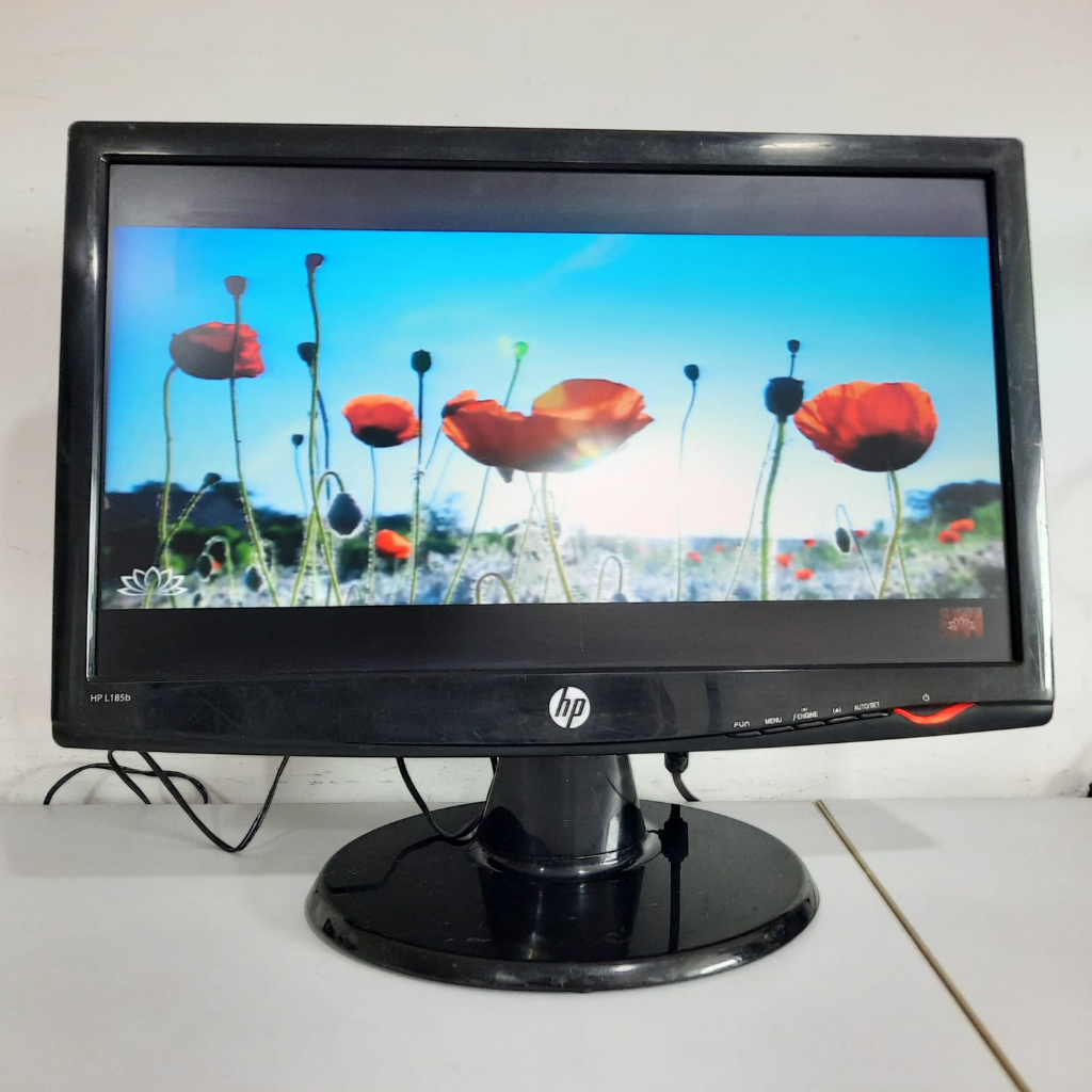 Monitor 19 polegadas hp Lg W1943se Vga + cabos | Shopee Brasil