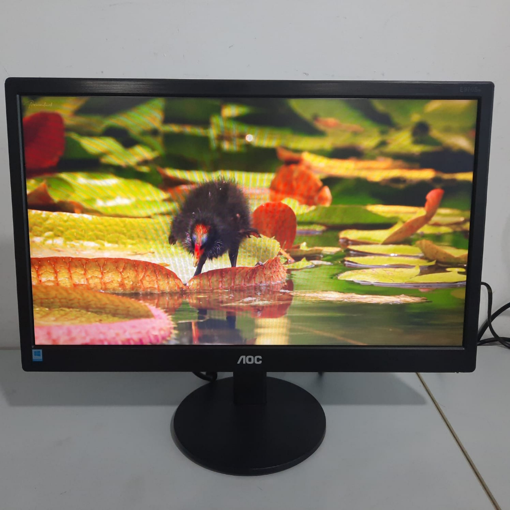 Monitor 19 polegadas Aoc e970swnl led Vga | Shopee Brasil