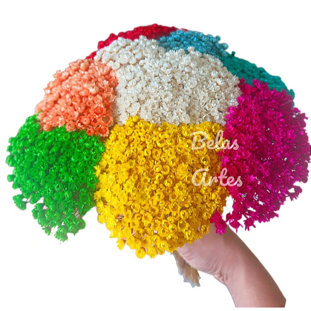 600 Sempre Viva Florzinhas Mosquitinho Natural. - Escorrega o Preço