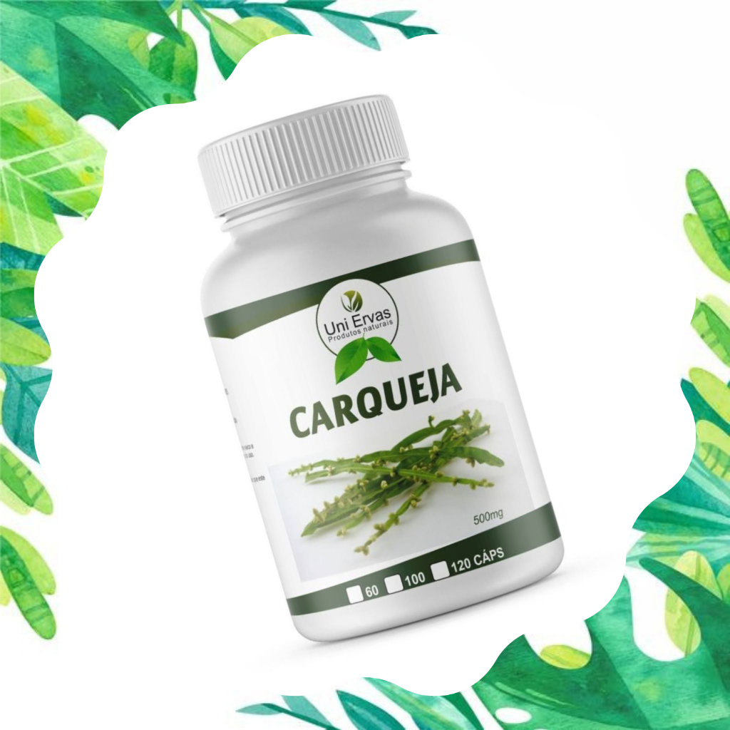 Suplemento Carqueja Natural Cápsulas de 500 mg E3 | Shopee Brasil