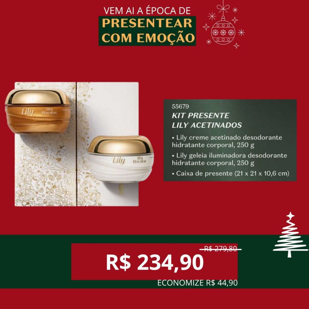 Kit Presente Natal Lily Acetinados (2 itens) | Shopee Brasil