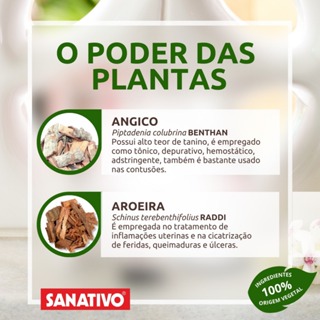 Sanativo Antisséptico 30ml Spray | Shopee Brasil