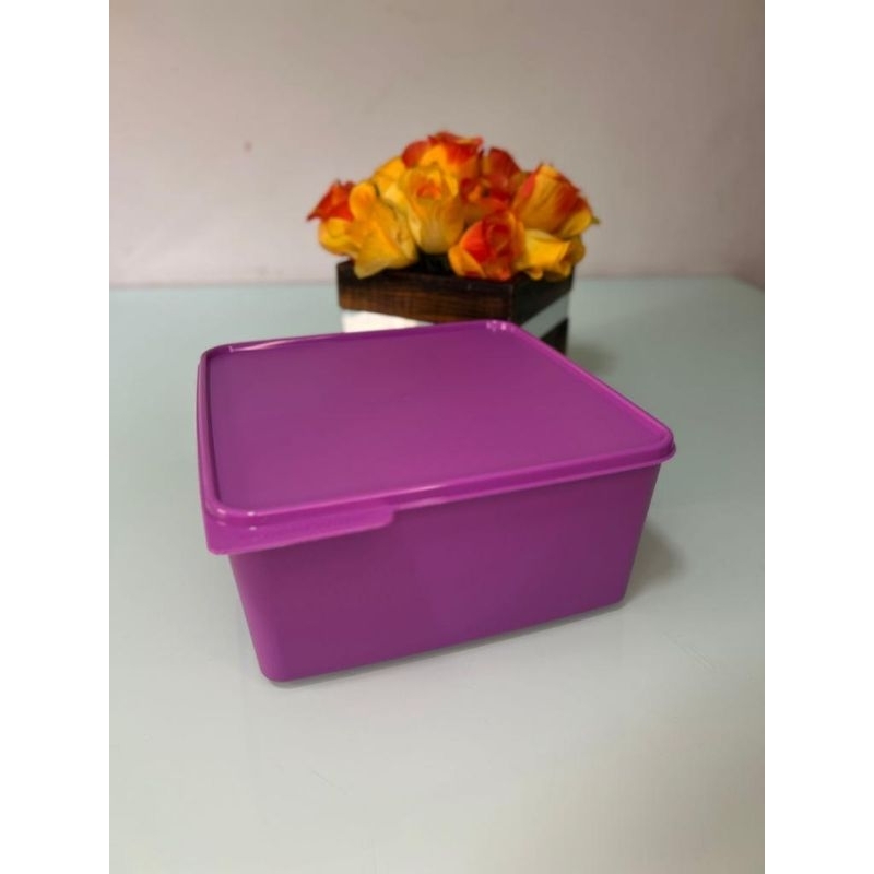 Basic Line 2,5 Litros | Shopee Brasil