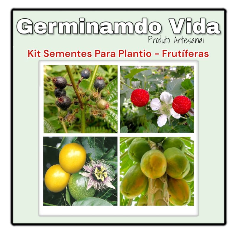 kit Sementes Frutas Para Plantio - Pixirica + Morango + Maracujá ...