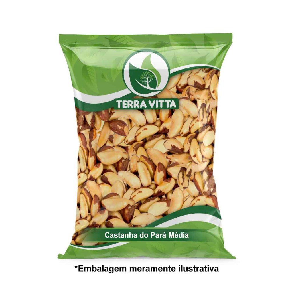 Castanha do Pará Média 500g | Shopee Brasil