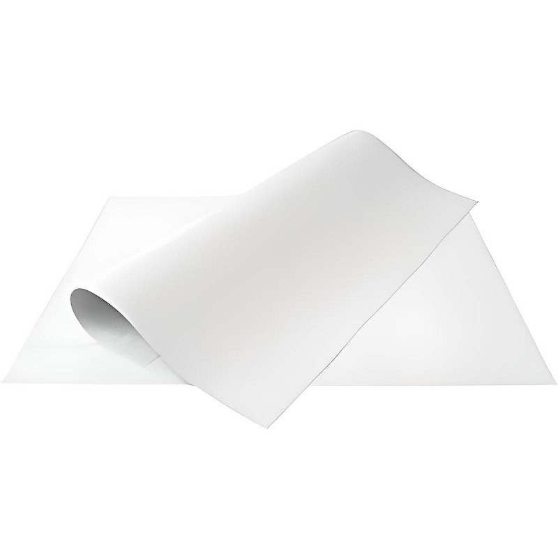 CARTOLINA ESCOLAR PACOTE 20 UNIDADES ESCOLHA | Shopee Brasil