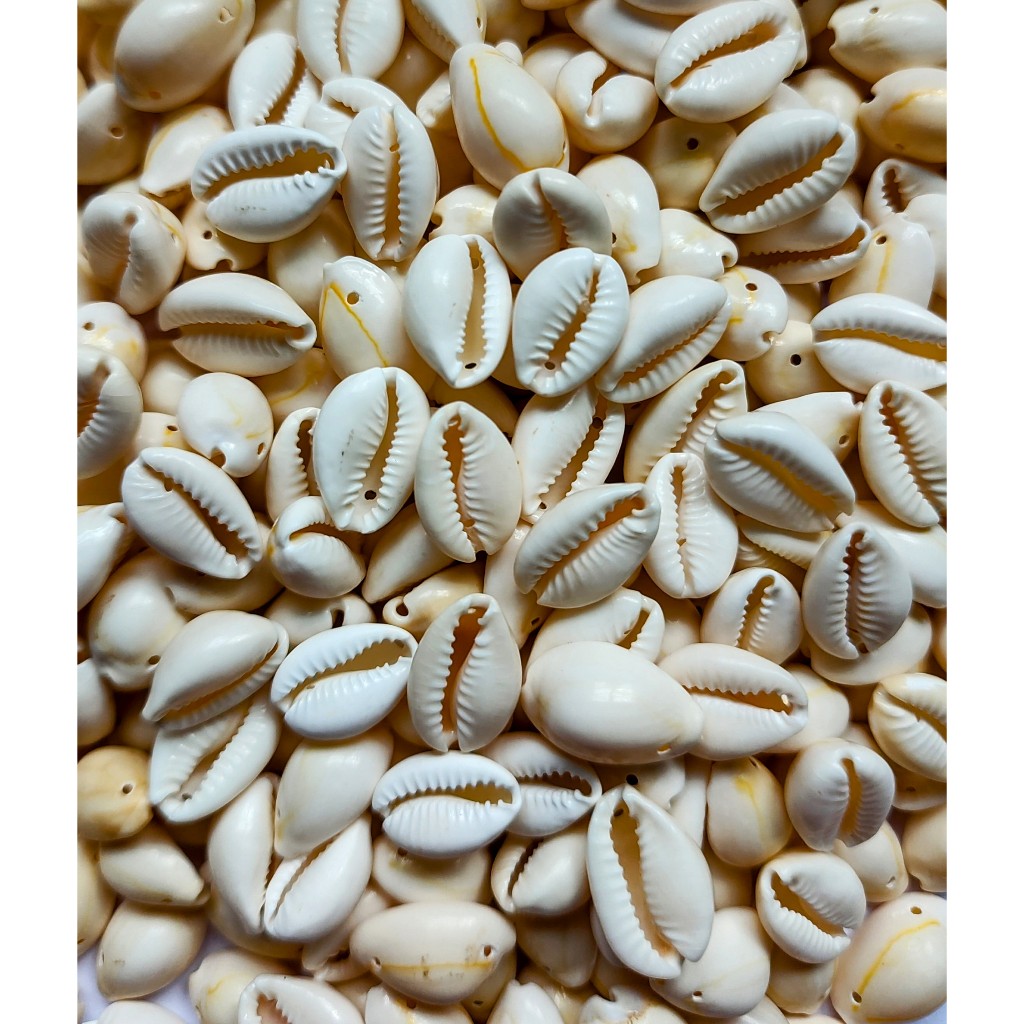 Buzios Natural com 2 furos | Shopee Brasil