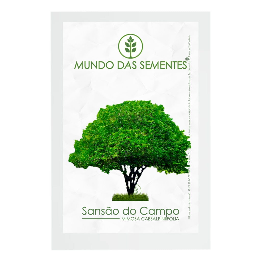 20 Sementes de Sansão do Campo Mimosa caesalpiniifolia Árvore Premium ...