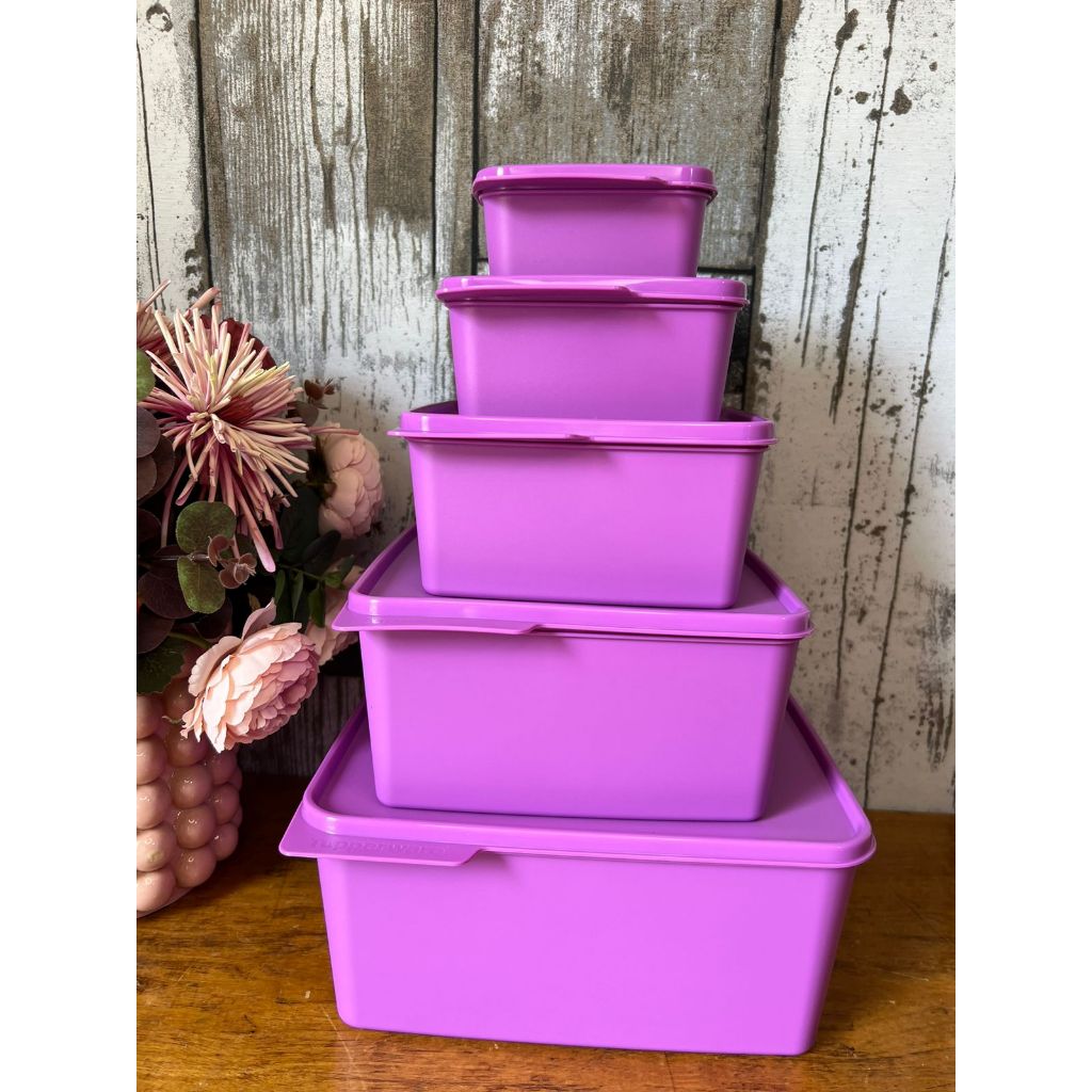 Tupperware Kit Basic Line | Shopee Brasil