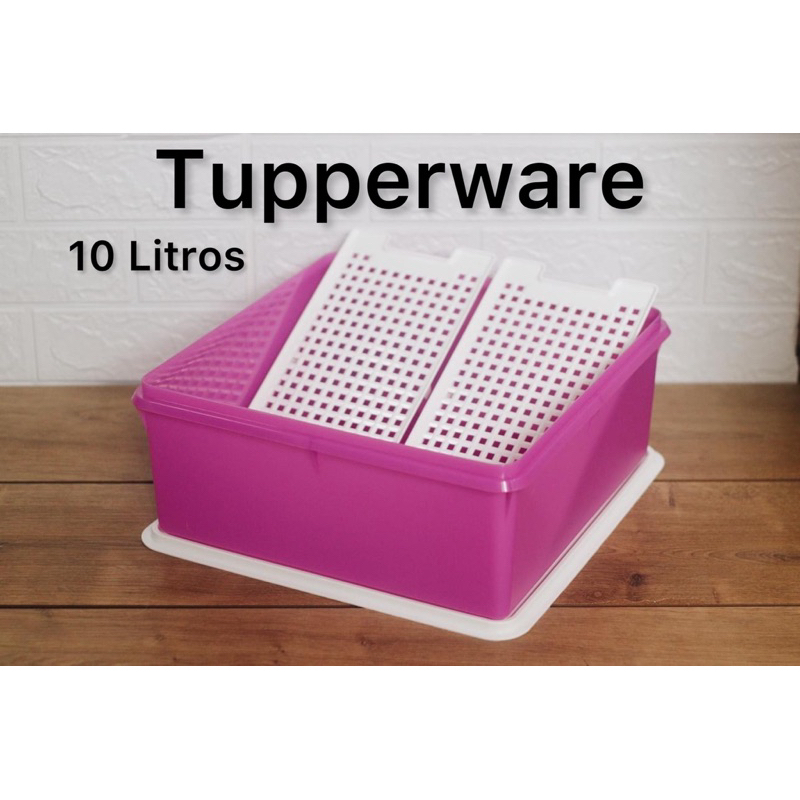 TUPPERWARE QUADRADA COM GRADES SUPER CAIXA 10 LITROS | Shopee Brasil