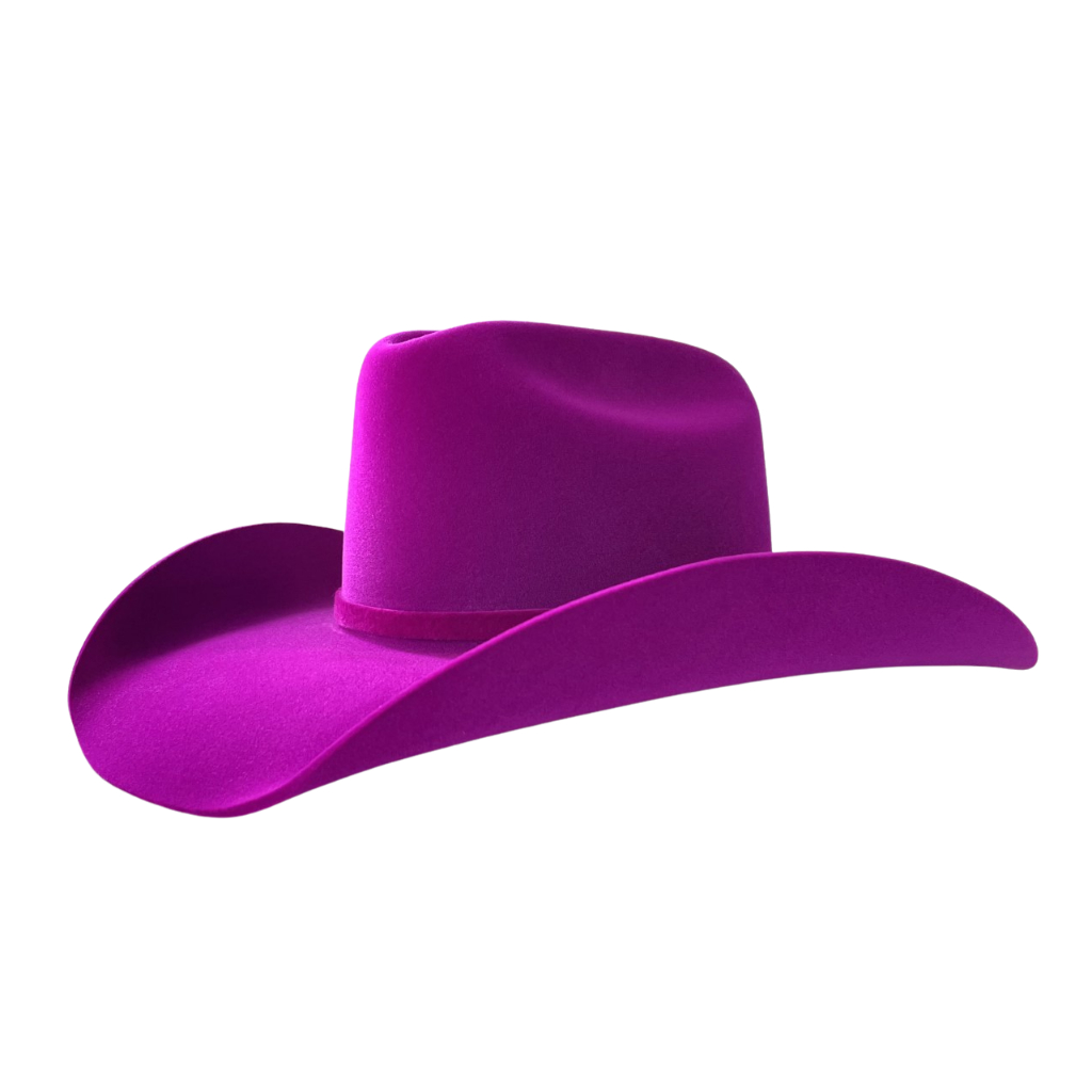 Chapéu Country Feminino Festa Cowboy Sertanejo Pink Fúcsia | Shopee Brasil