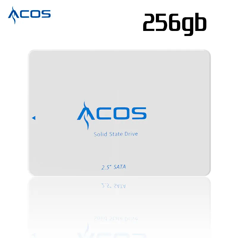 ssd 512gb / 256gb Xraydisk / Acos (estoque no brasil a pronta entrega) | Shopee Brasil