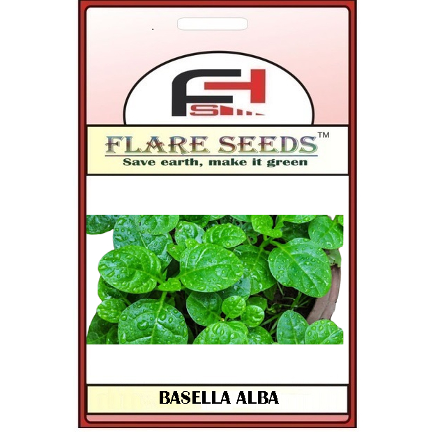 3 sementes de Espinafre indiano ou Bertalha (Basella Alba) | Shopee Brasil