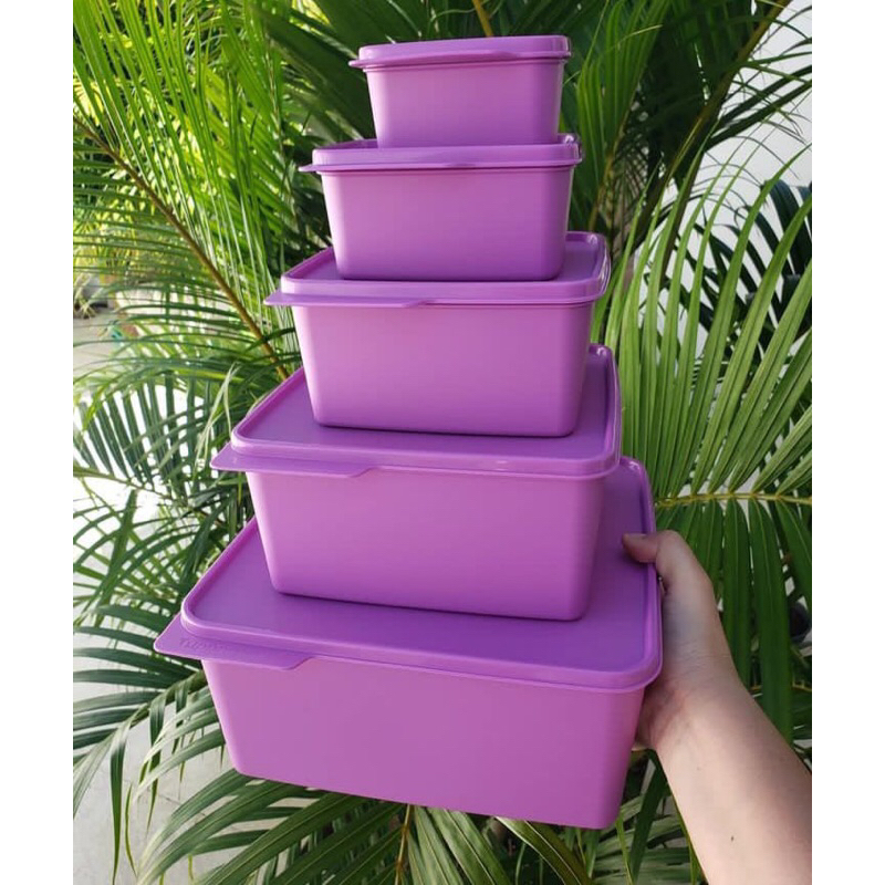 Kit Basic Line Tupperware (1x5 LITROS, 1x2,5 LITROS, 1x1,2 LITROS ...