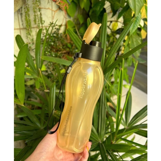 Garrafa Tupperware Eco Tupper Redonda Plus Ouro 500ml | Shopee Brasil