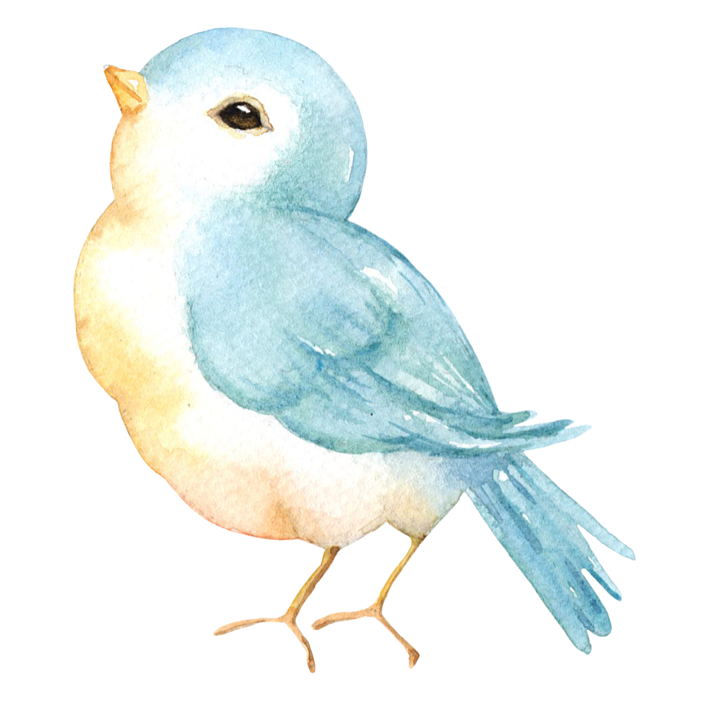 Display Passarinho Azul Aquarela 60cm | Shopee Brasil