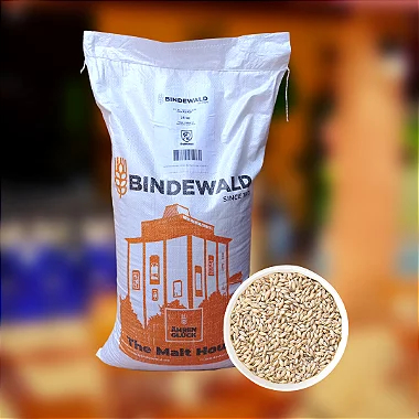 Malte Pilsen Bindewald | Shopee Brasil