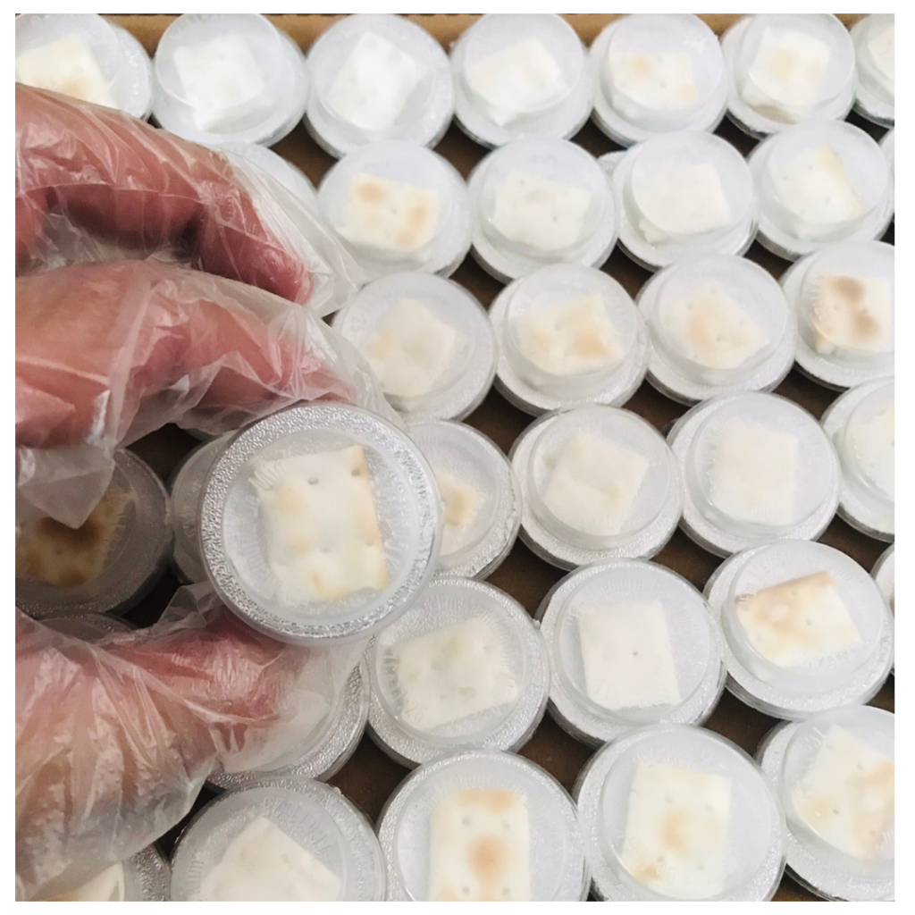 Kit santa ceia - 48 unidades pao asmo e suco integral | Shopee Brasil